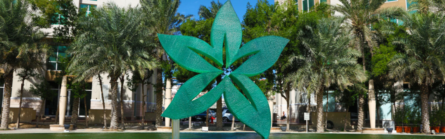 Novomed | Healthcare and Cosmetic Provider in UAE