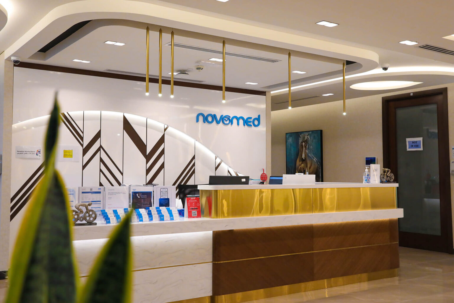 Novomed - The Largest Surgical, Cosmetic and Wellness Provider